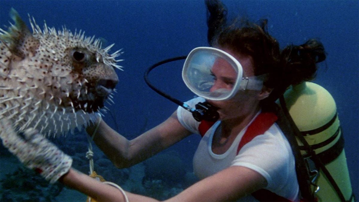 Photo de Jacqueline Bisset - Les Grands Fonds : Photo Jacqueline Bisset - Photo 30 sur 60 - AlloCiné