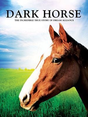 Affiche du film Dark Horse: The Incredible True Story Of Dream Alliance ...