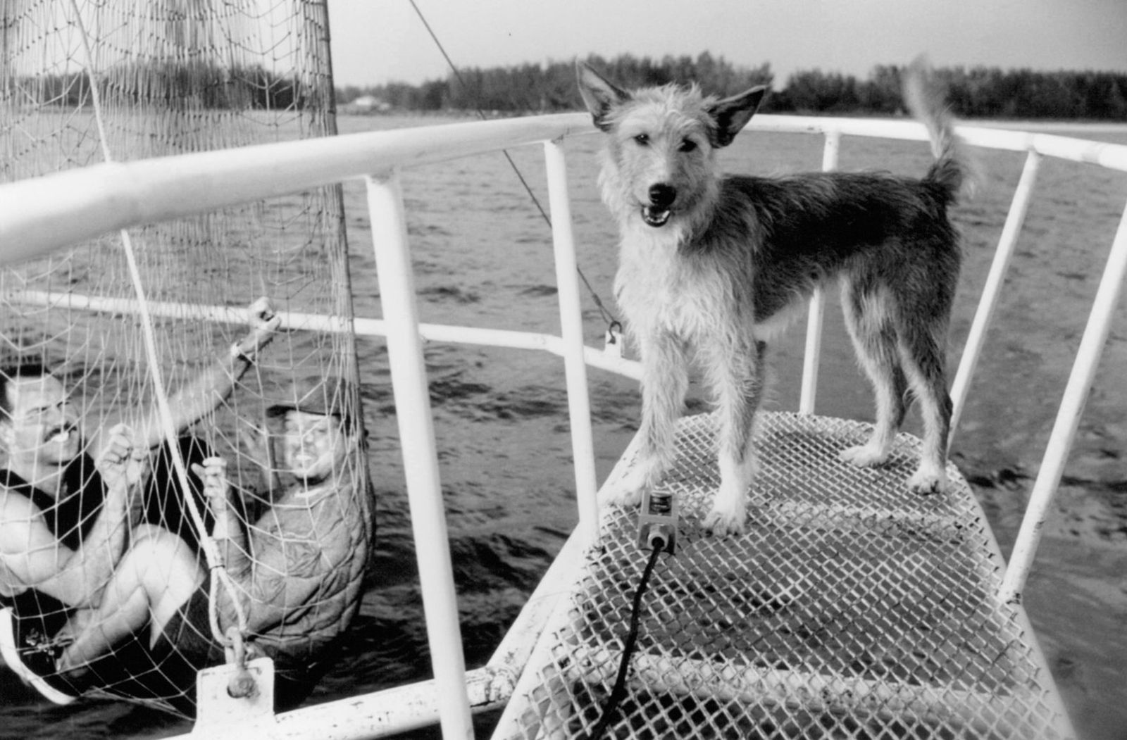 Photo du film Zeus and Roxanne - Photo 7 sur 9 - AlloCiné