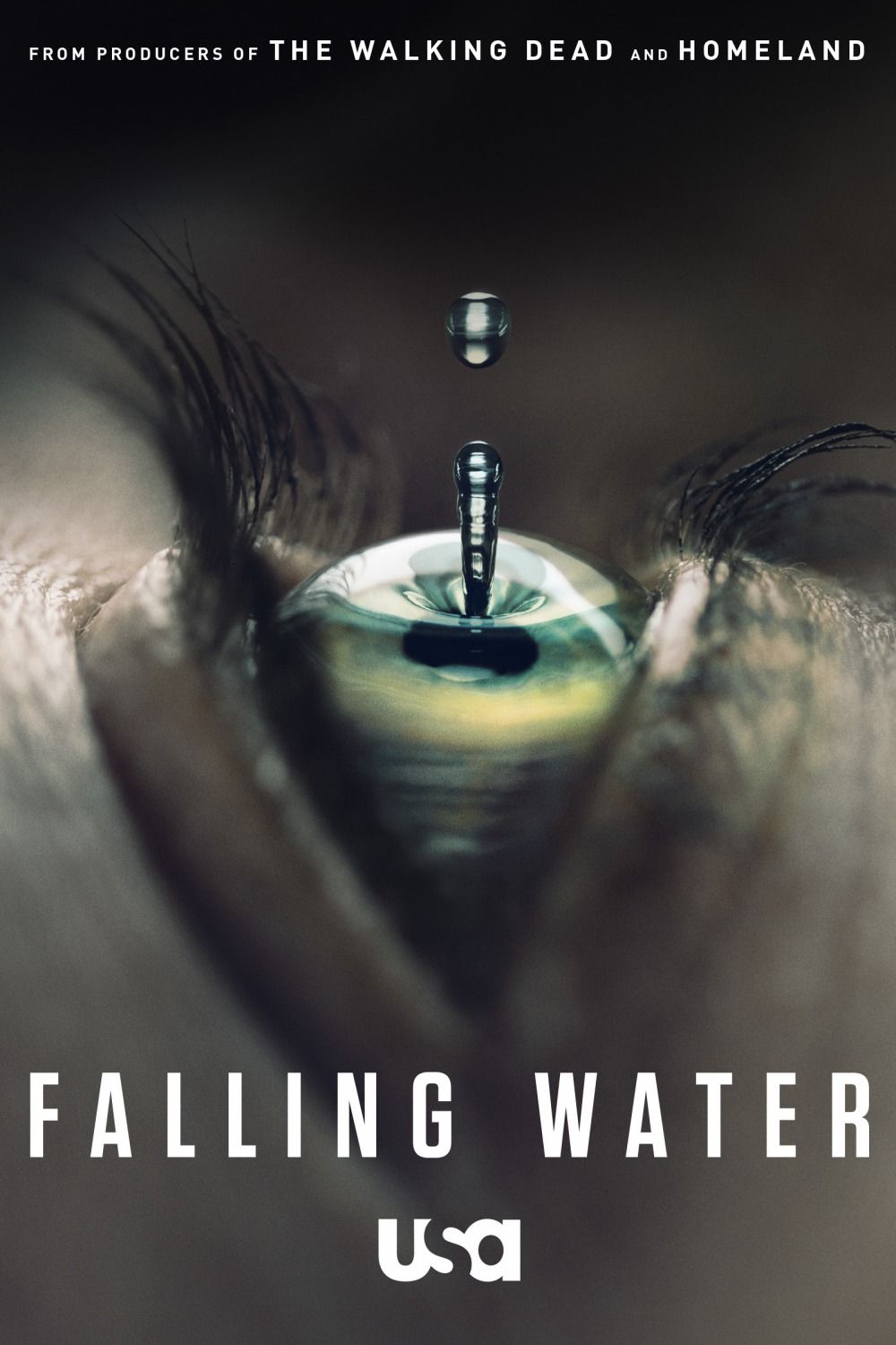Falling Water Saison 1 - AlloCiné
