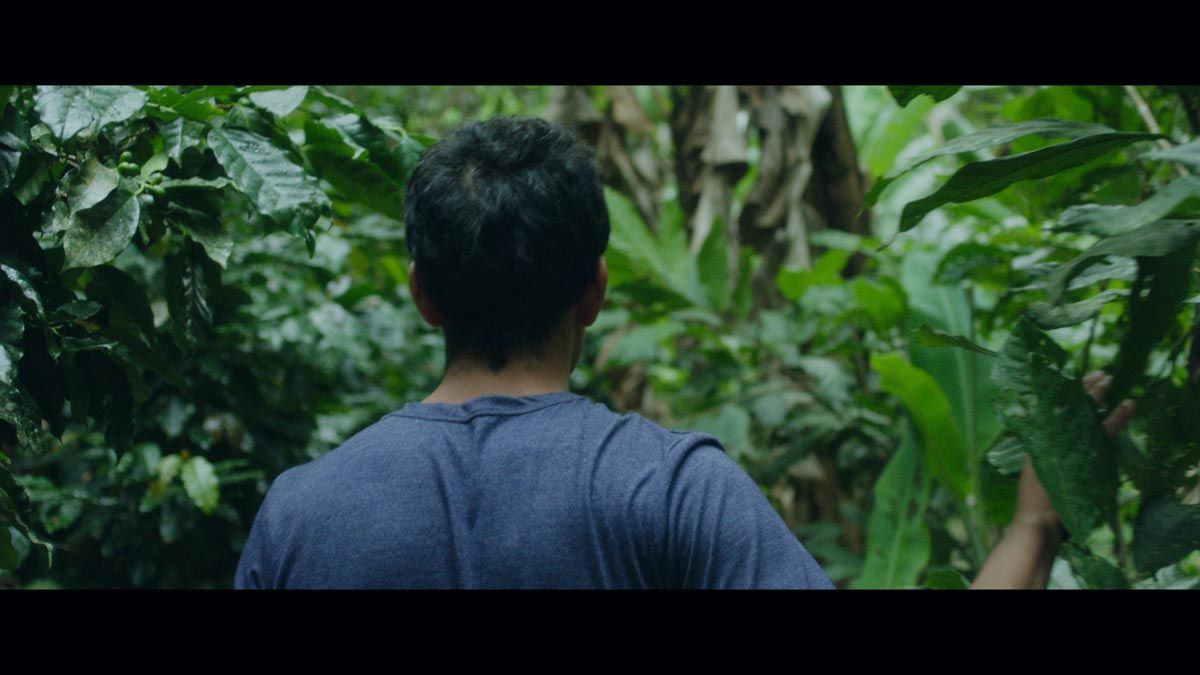 Photo du film El Soñador - The Dreamer - Photo 23 sur 39 - AlloCiné