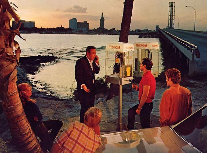 Photo du film The Happening - Photo 1 sur 2 - AlloCiné