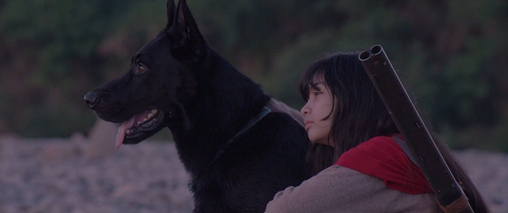 Photo du film Birdshot - Photo 1 sur 3 - AlloCiné