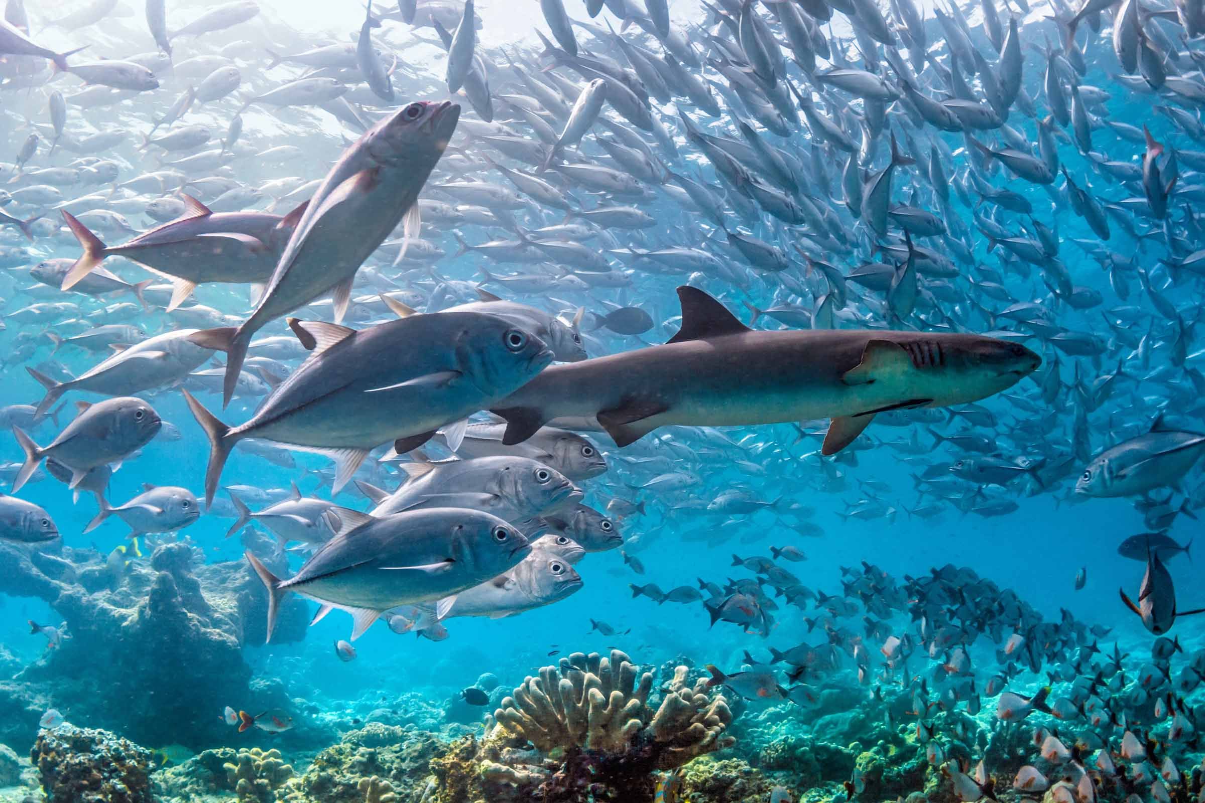 Photo du film Blue - Photo 7 sur 23 - AlloCiné