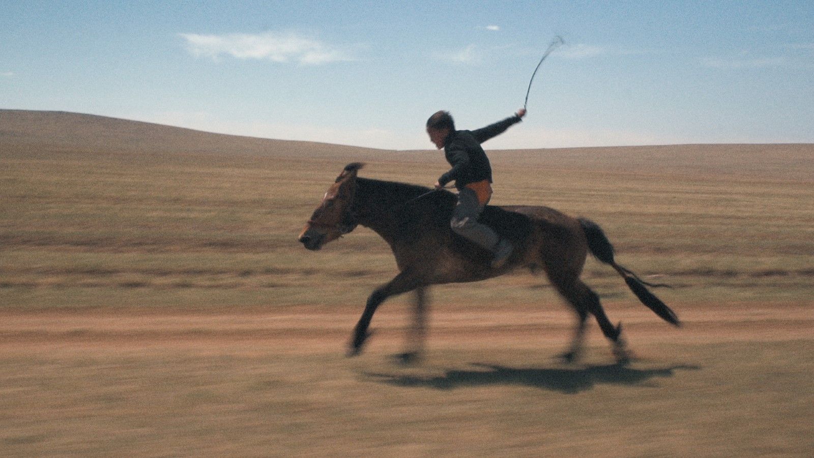 Photo du film Zud - Photo 2 sur 12 - AlloCiné