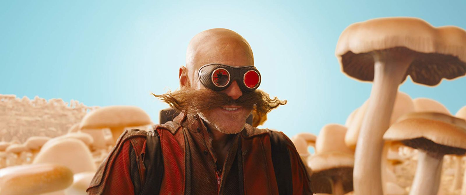 Photo du film Sonic le film - Photo 36 sur 40 - AlloCiné
