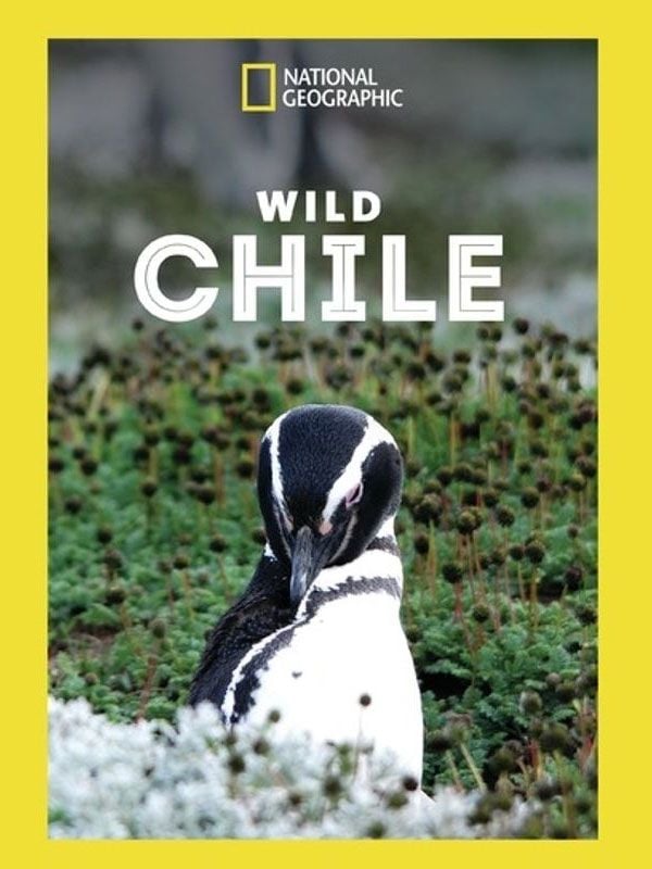 Poster Destination Wild : Chili - Affiche 4 sur 4 - AlloCiné
