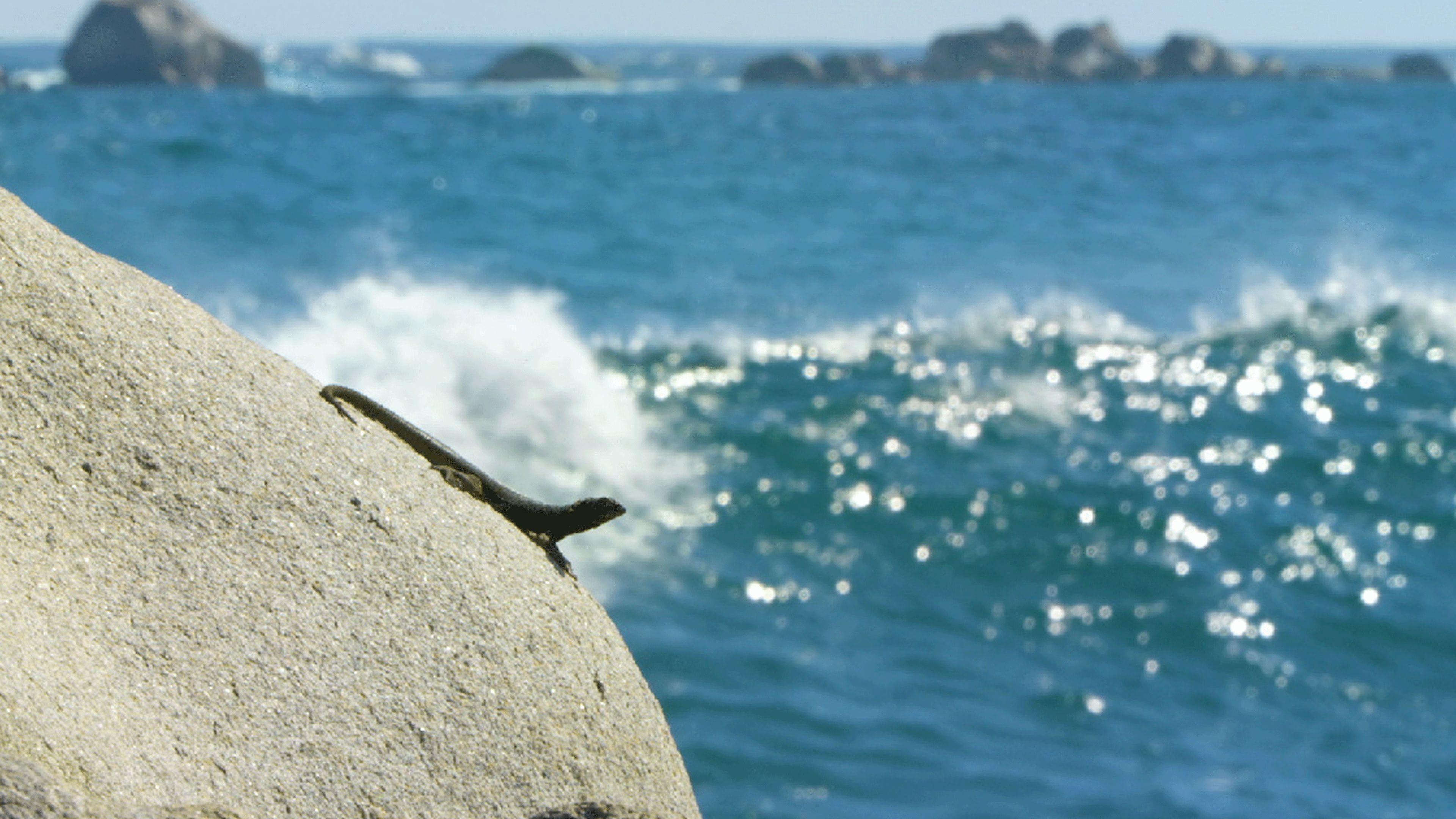 Poster saison 1 - Affiche 1 sur 4 - AlloCiné