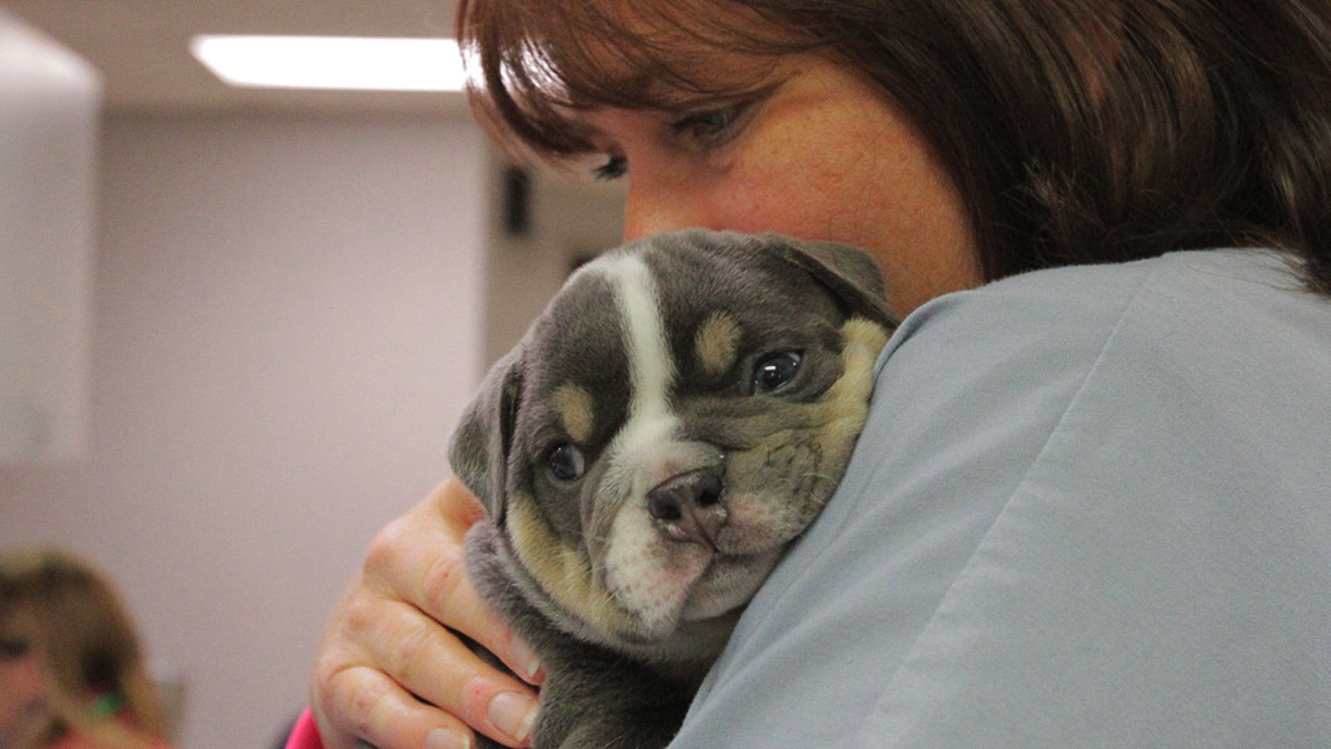 Poster saison 1 - Affiche 12 sur 24 - AlloCiné