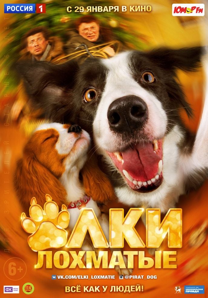 Yoko et Pirate: duo de choc contre filous - Film 2015 - AlloCiné