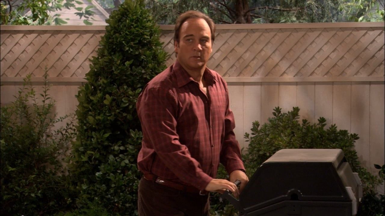 Poster According to Jim saison 4 - Affiche 95 sur 177 - AlloCiné