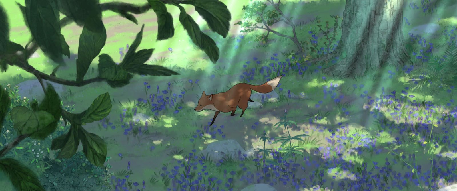Photo du film Princesse Dragon - Photo 12 sur 19 - AlloCiné