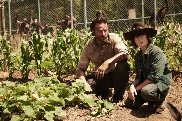 The Walking Dead : The Walking Dead : Photo - 1020 sur 1200 - AlloCiné