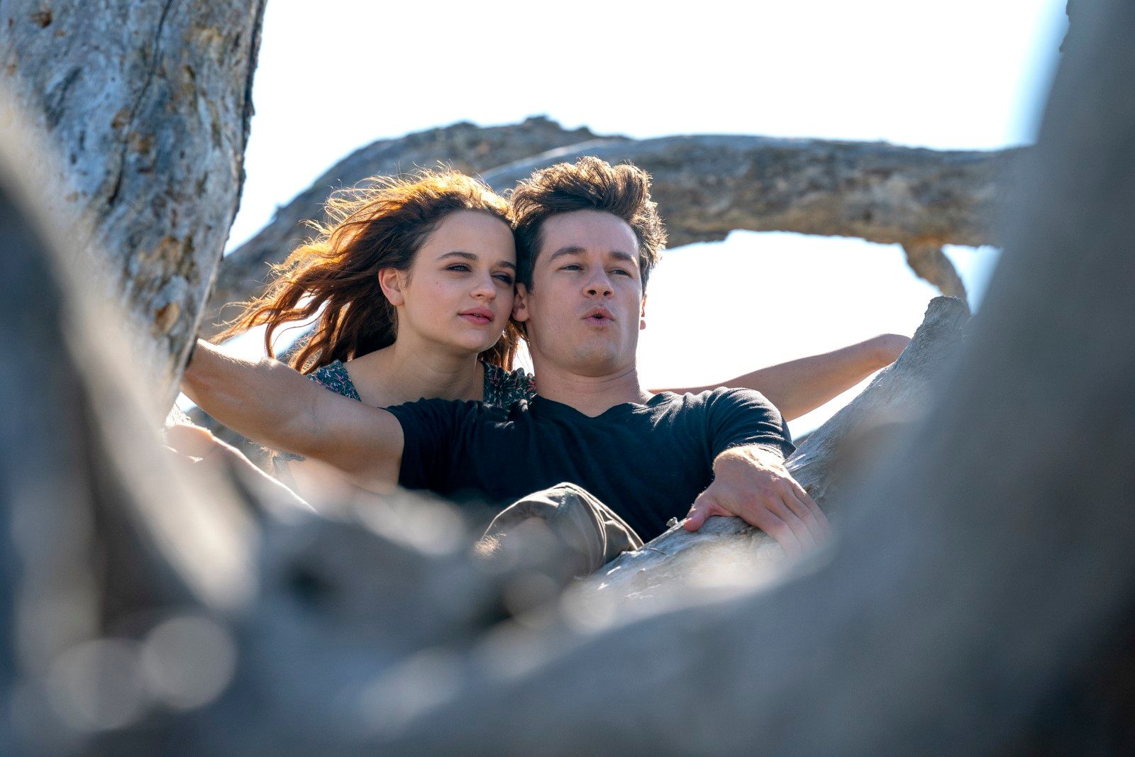 Photo du film The In Between - Photo 4 sur 8 - AlloCiné