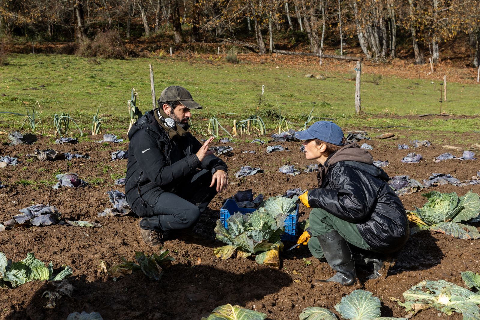Photo du film As bestas - Photo 22 sur 24 - AlloCiné