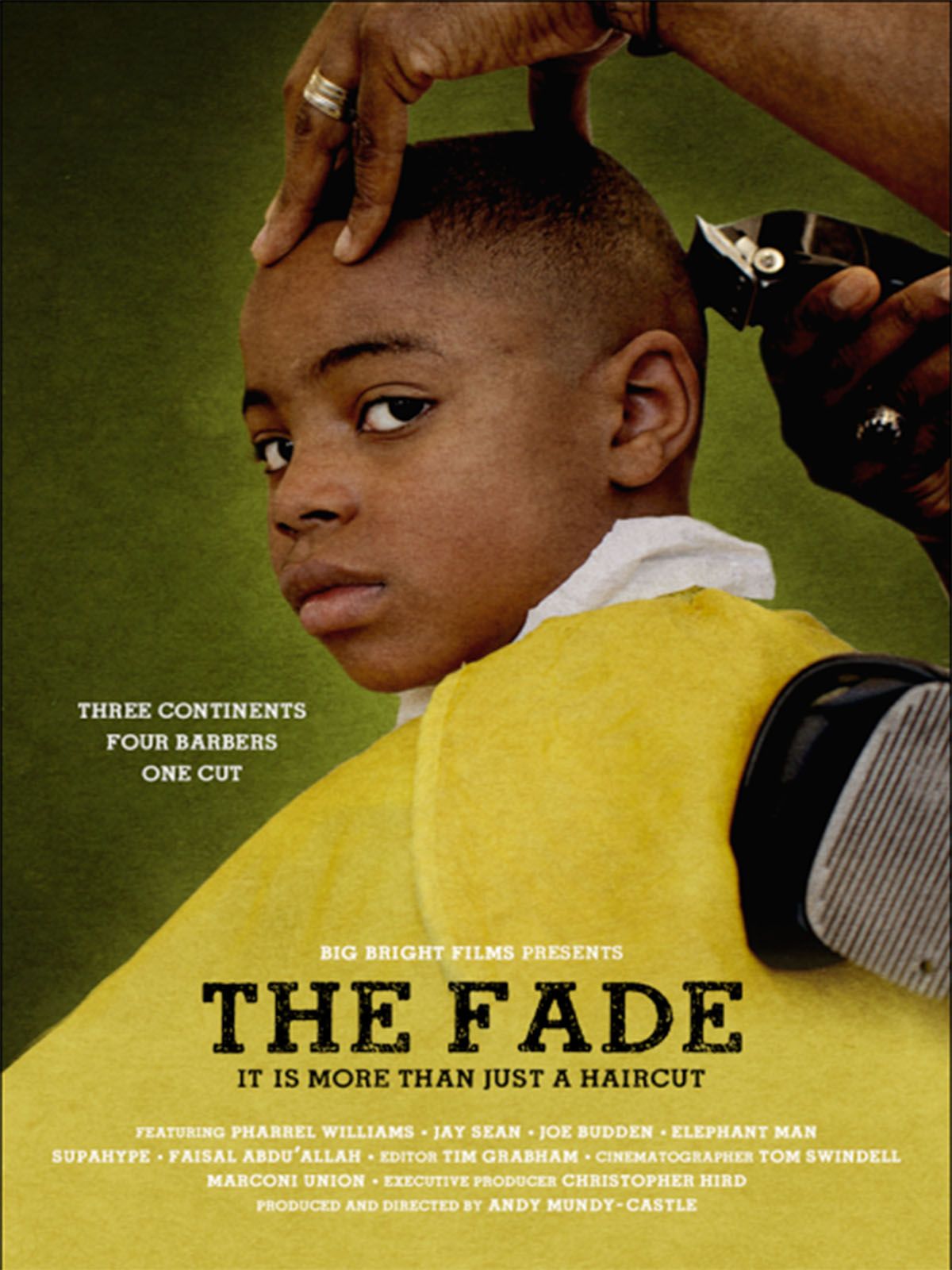 The Fade - Film documentaire 2012 - AlloCiné