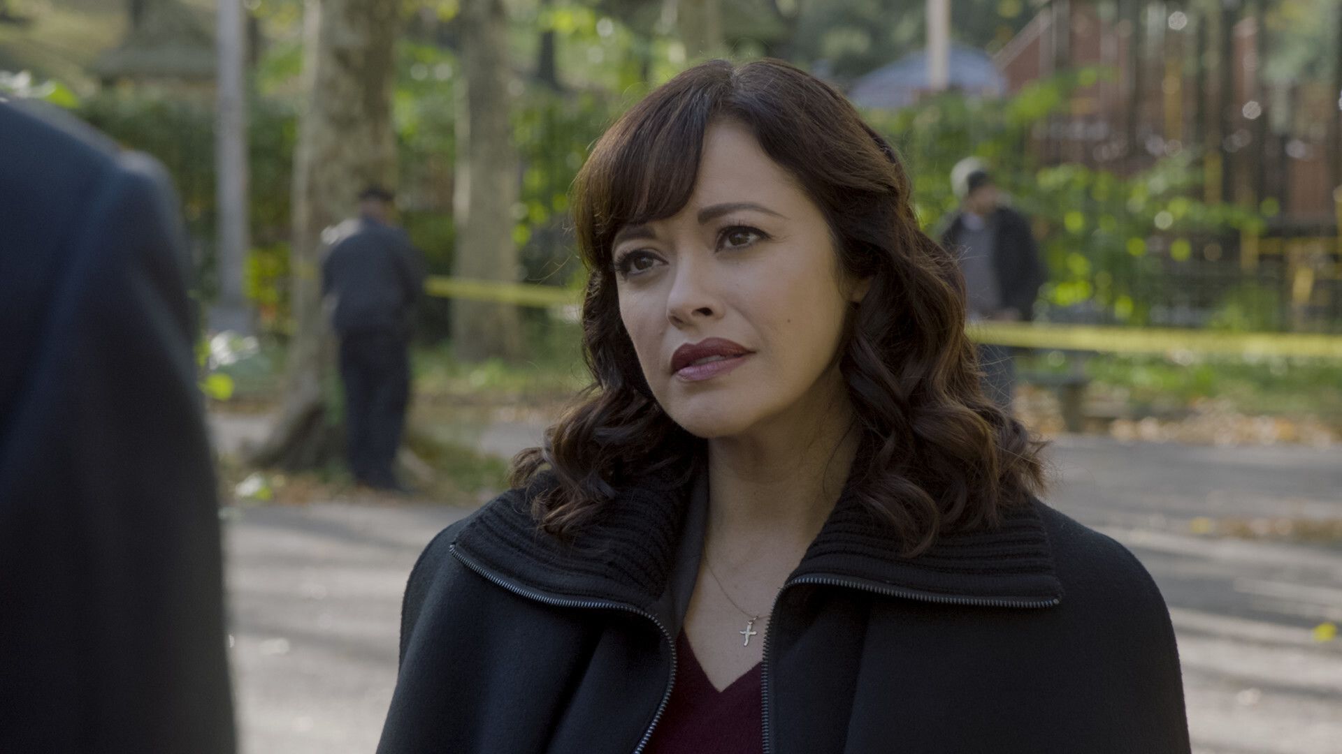 Blue Bloods : Blue Bloods : Photo Marisa Ramirez - 39 sur 954 - AlloCiné