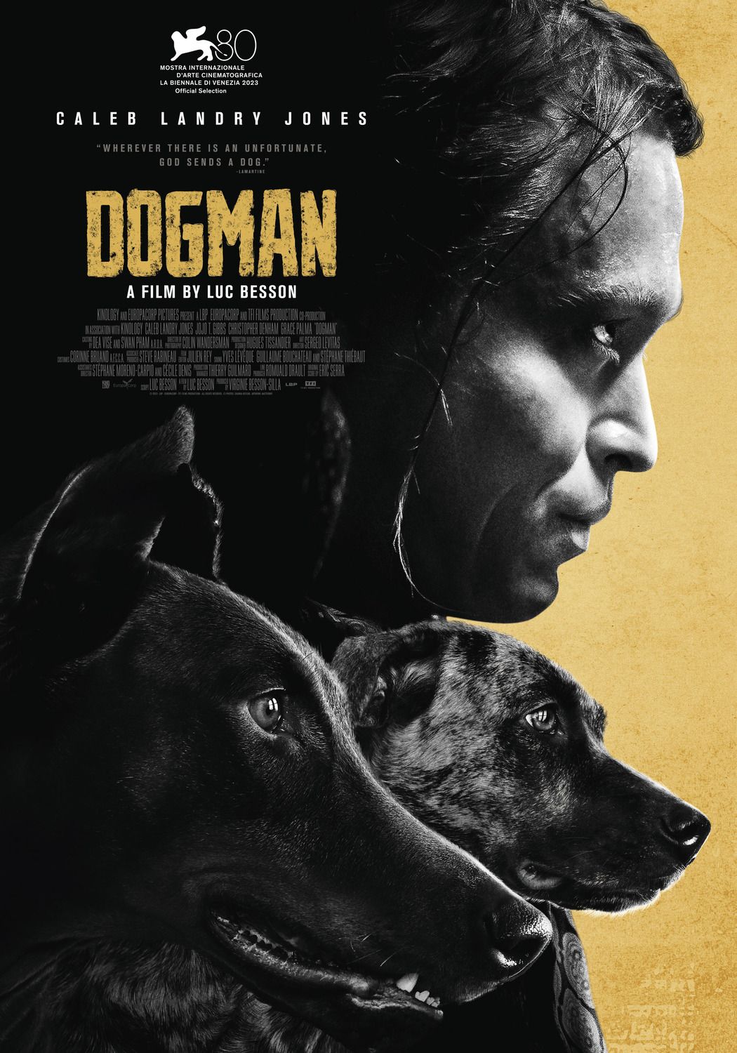 Affiche du film Dogman - Photo 11 sur 12 - AlloCiné