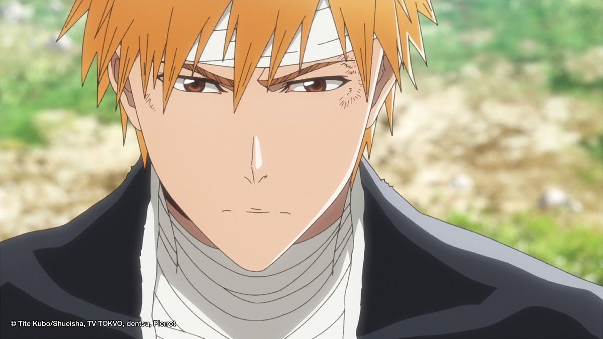 Bleach : Bleach : Photo - 25 sur 198 - AlloCiné