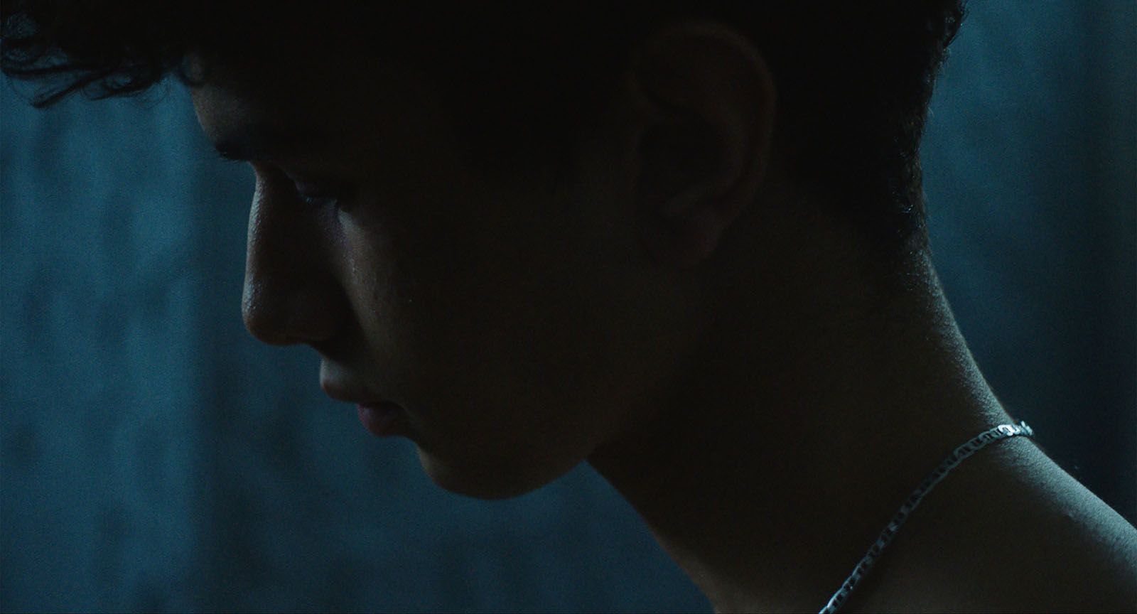 Photo de Basel El Rayes - Simo : Photo Basel El Rayes - Photo 5 sur 7 ...