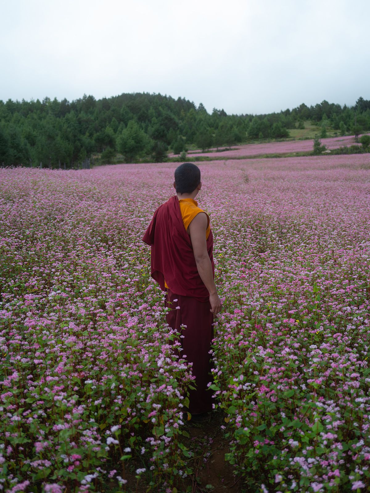 Le Moine et le fusil - Film 2023 - AlloCiné