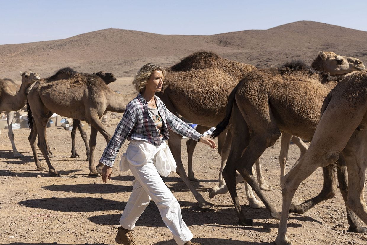 Zodi et Téhu, frères du désert (2023) au Cinéma Carpentras - Le Rivoli