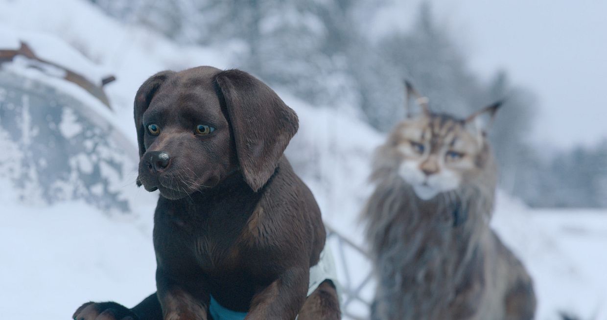 Chien & Chat (2024) au Cinéma Aix Les Bains - Les Toiles du Lac