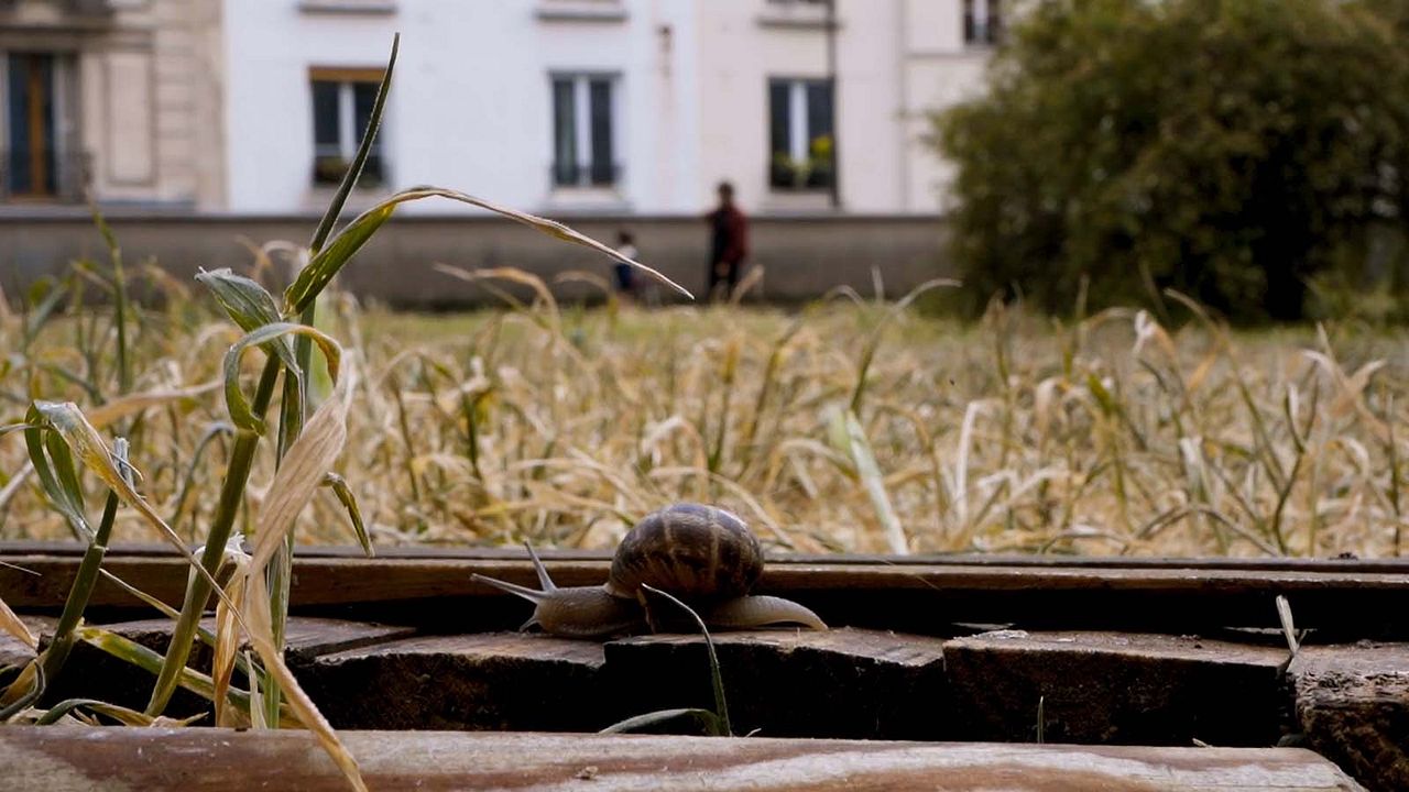 Photo du film La Cour - Photo 1 sur 8 - AlloCiné