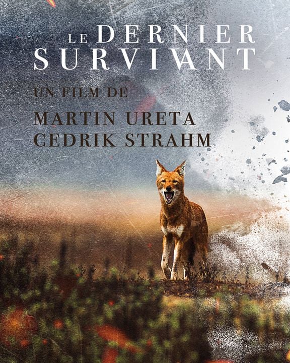 Affiche du film Le dernier survivant - Photo 1 sur 1 - AlloCiné