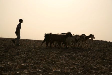 Djihad : Djihad : Photo - 2 sur 31 - AlloCiné