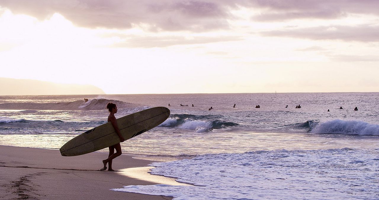 Photo du film The Search for Freedom - Photo 2 sur 20 - AlloCiné