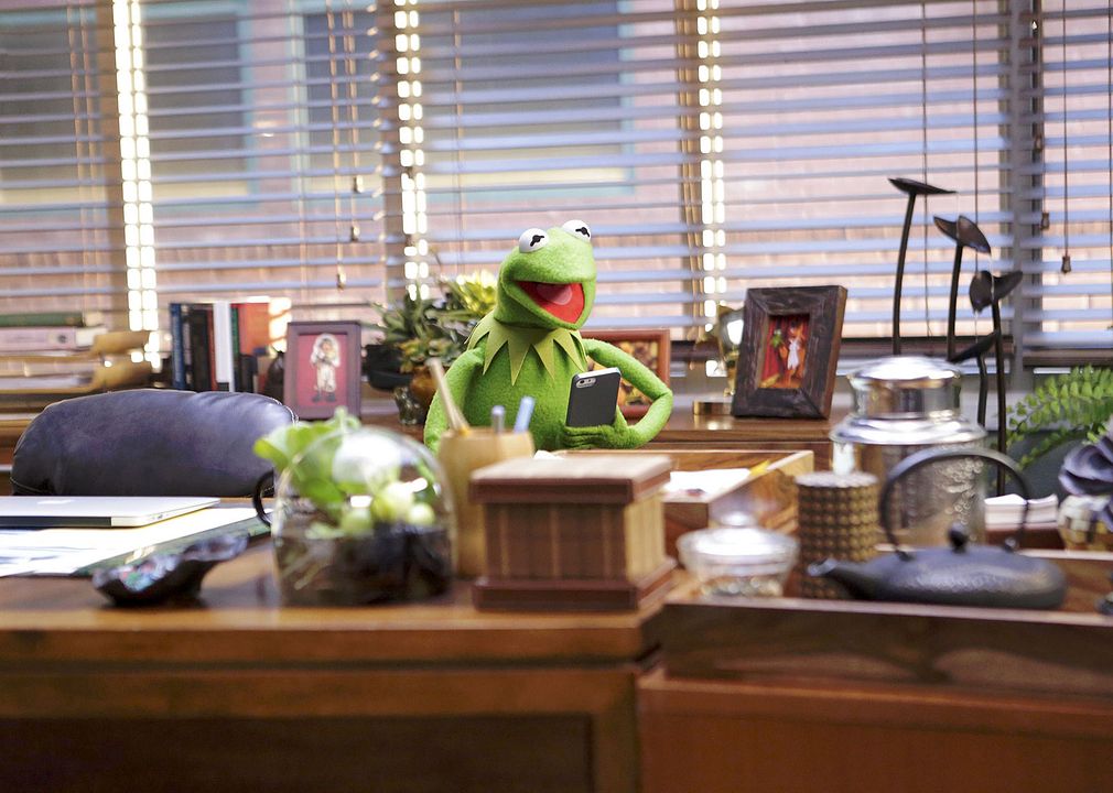 The Muppets : The Muppets : Photo - 17 sur 77 - AlloCiné