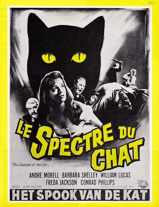 Affiche du film Le spectre du chat - Photo 3 sur 12 - AlloCiné