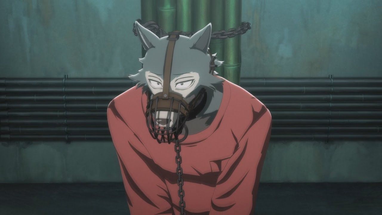 BEASTARS : BEASTARS : Photo - 20 sur 49 - AlloCiné