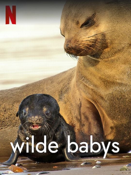 Poster Wild Babies : Petits et Sauvages - Affiche 1 sur 2 - AlloCiné