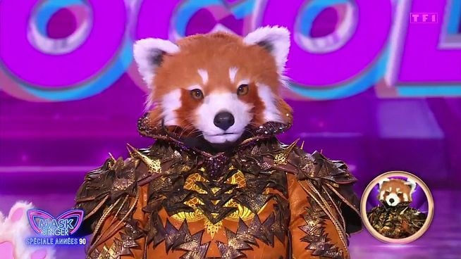 Mask Singer 2025 : le Panda roux démasqué, qui se cachait derrière ...